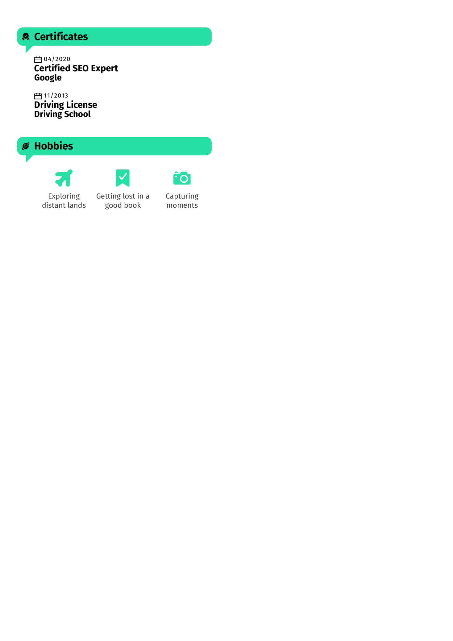 Professional CV Example | Kickresume