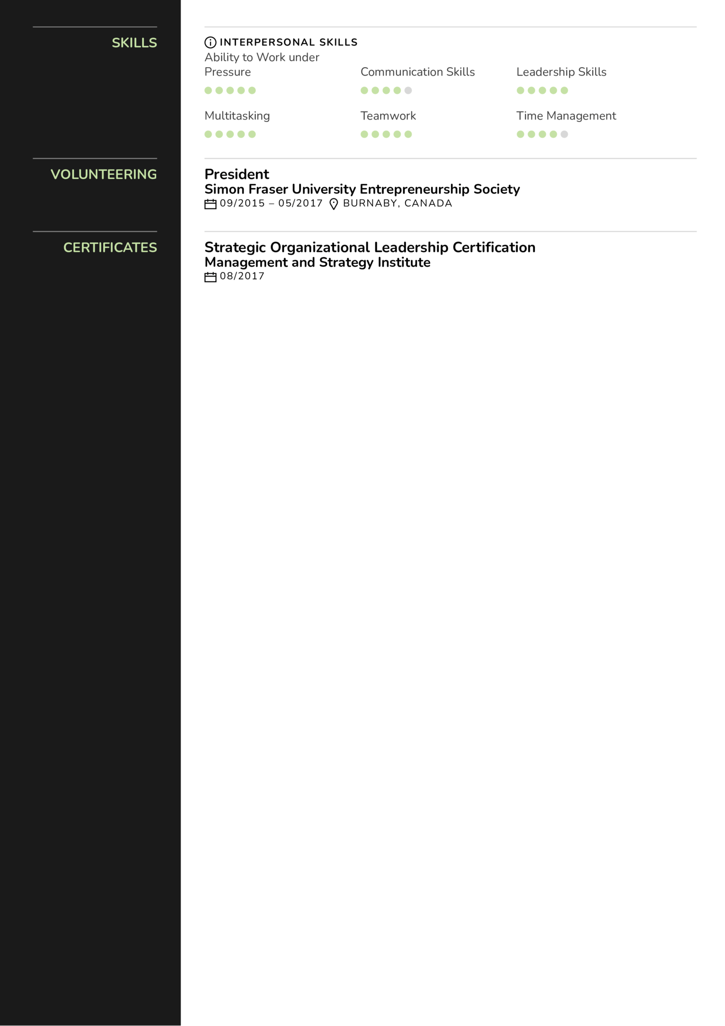 CEO Resume Example | Kickresume